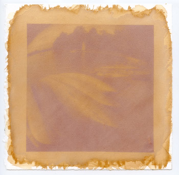 Scott Barnes: Anthotype #7 (Blueberry Canoes)