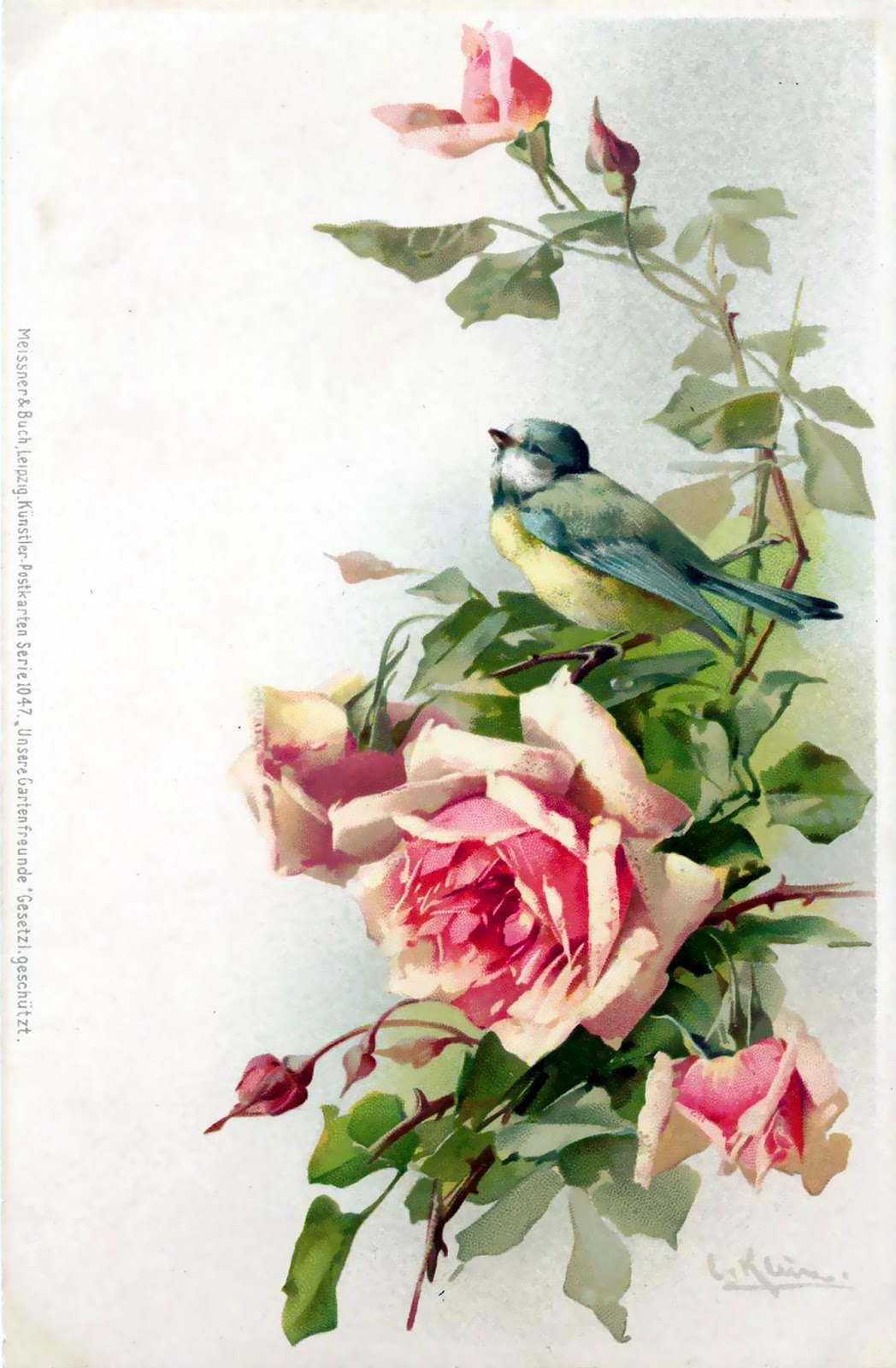 Vintage Art Roses Group Prints Postcard | Joy Design Studio