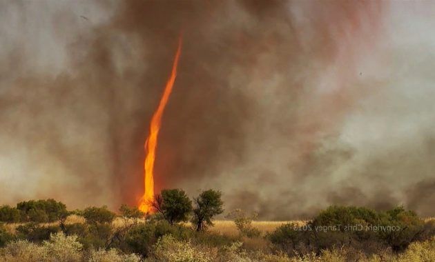 Seperti Inilah Proses Terjadinya Badai Tornado Api | Ngawur Banget