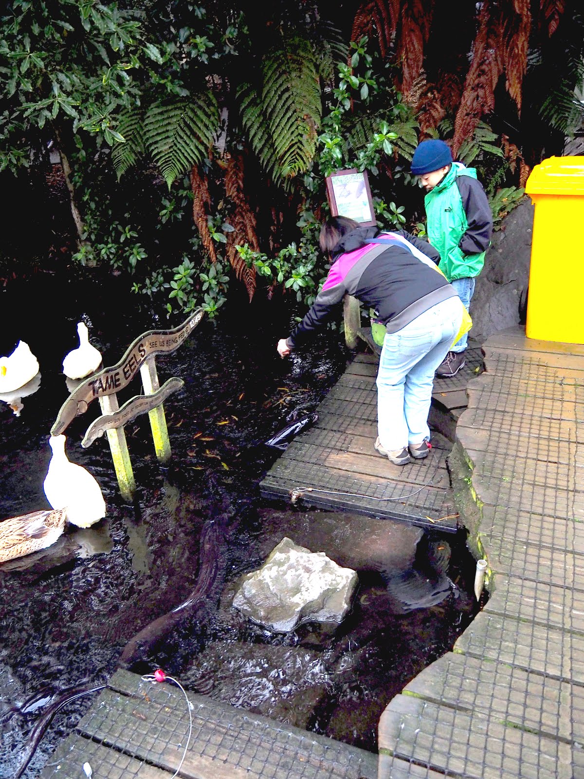 Kids Playgrounds Singapore: Other R&R places