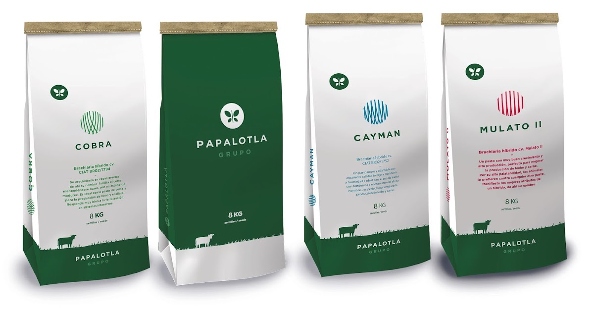 Papalotla Grupo: Semillas de Pastos Hibridos de Brachiaria