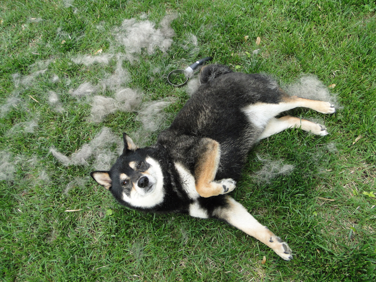 Life as an art form: 5/8/11 - 5/15/11