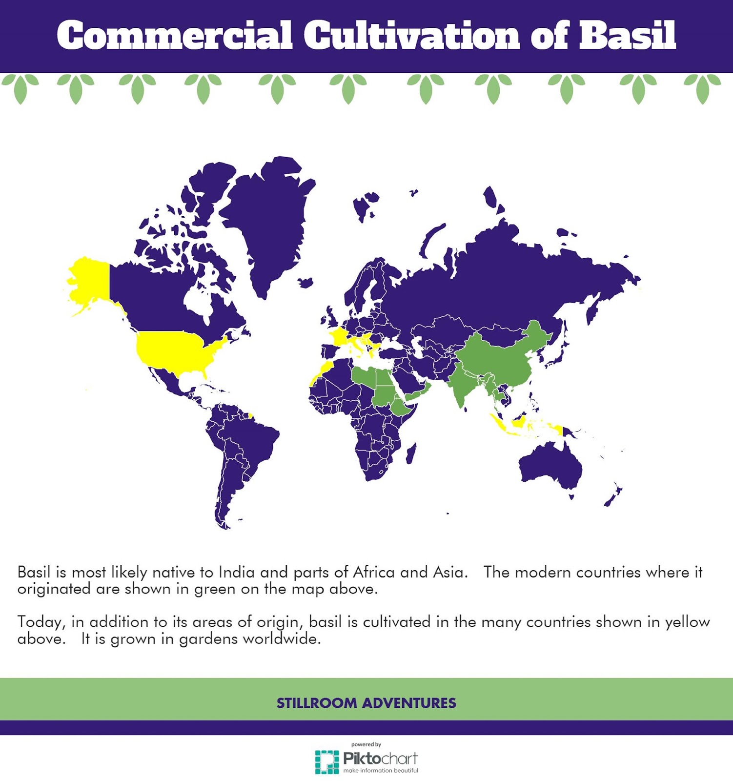 Basil: The Ultimate Guide