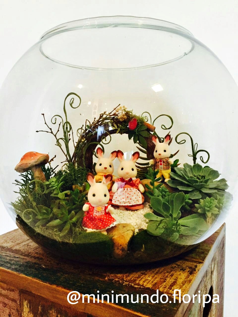 Terrários e mini jardins maravilhosos! - Jeito de Casa - Blog de ...