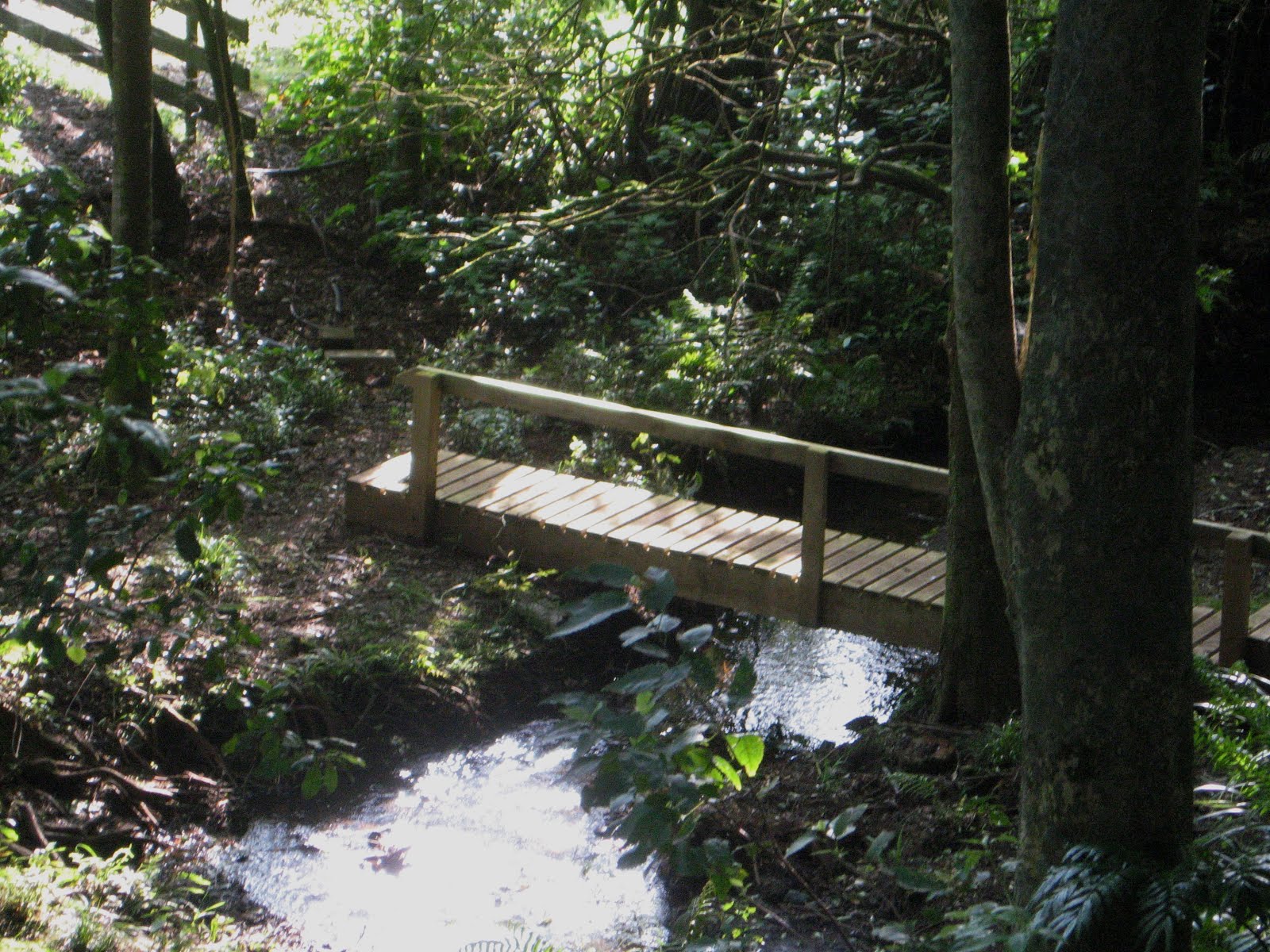 leading and learning: New Bush Track - half completed!