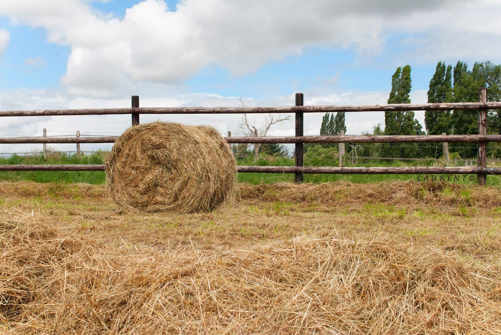 Laurent Blog Photo: Les foins