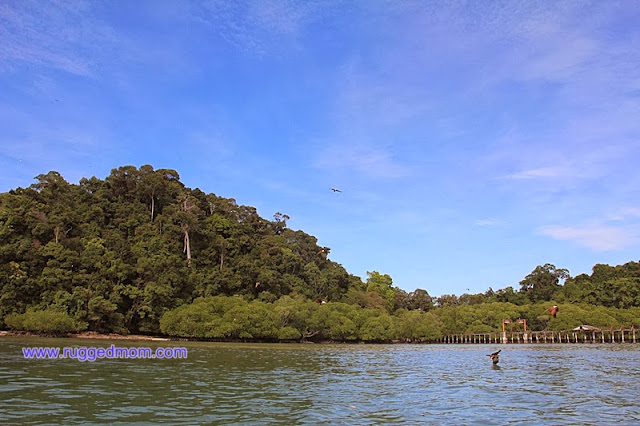 Percutian di Langkawi - helang terbang tinggi