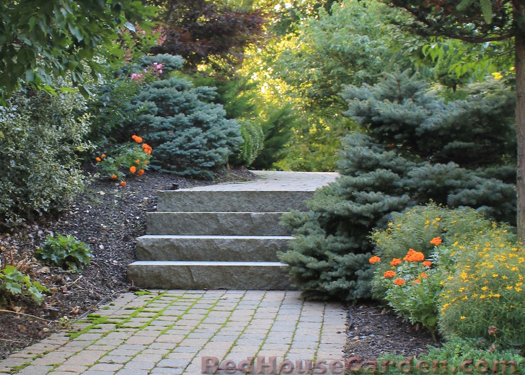 Red House Garden: Stretching to Fill the Frame - a Photography Lesson