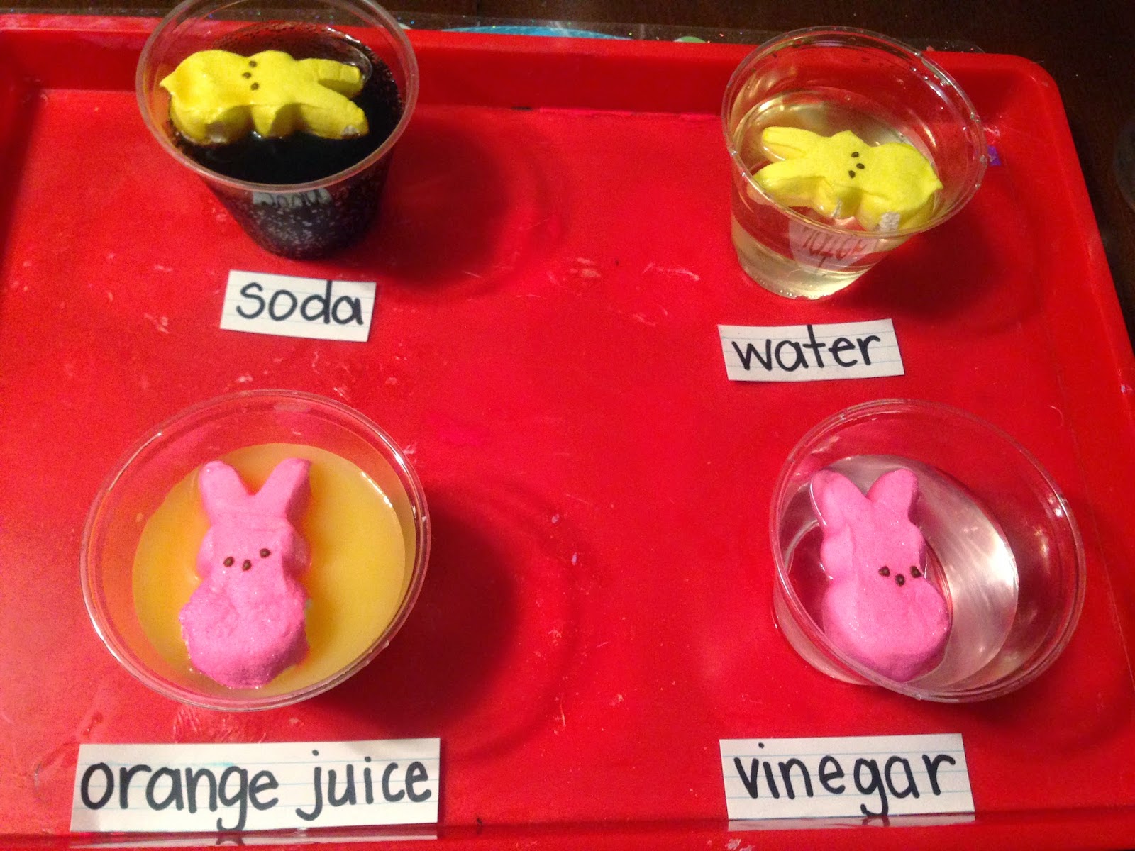 Teaching Munchkins: Mad Science Monday: Peep Experiment