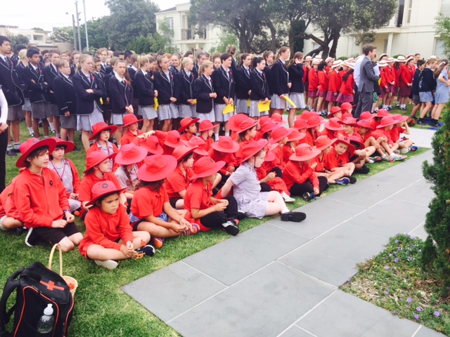Mentone Park Primary School Newsletter: Newsletter 19/2015