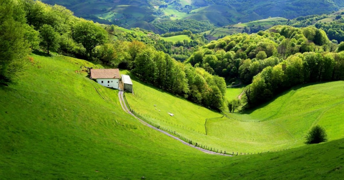 Nature Wallpaper For Home | Best Wallpapers HD Gallery