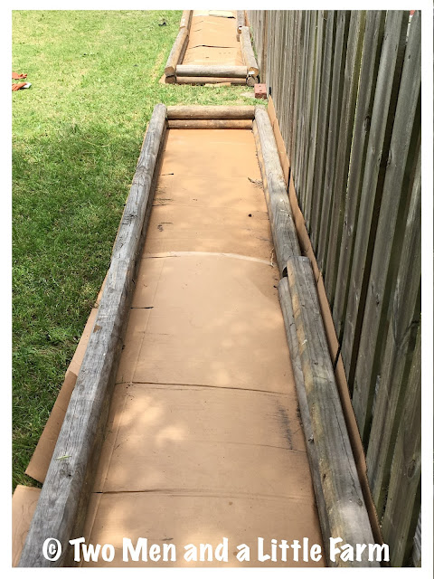 Two Men and a Little Farm: USING CARDBOARD IN LANDSCAPING AND GARDENING