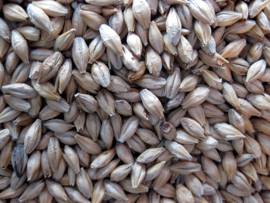 Cherry Wood Smoked Roggenbier Recipe | The Mad Fermentationist ...