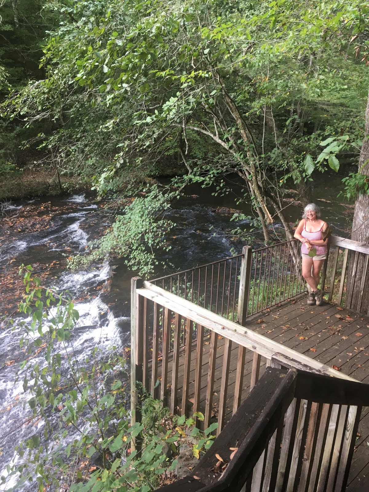 From the Mountains above the Applegate River: A Madcap Summer at Camp ...