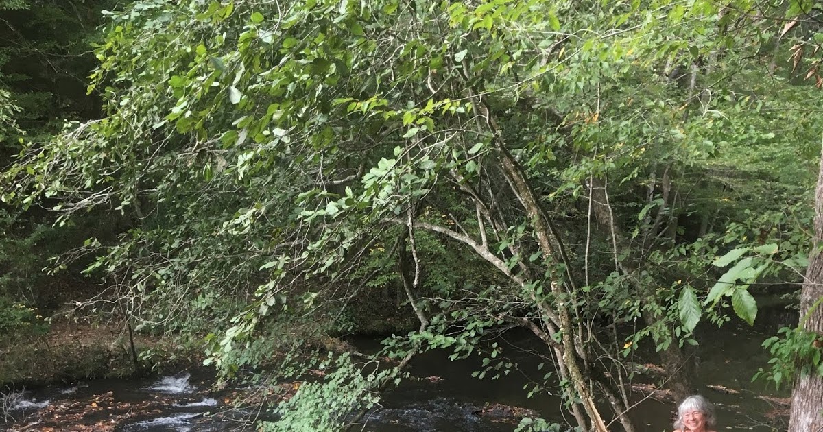 From the Mountains above the Applegate River: A Madcap Summer at Camp ...