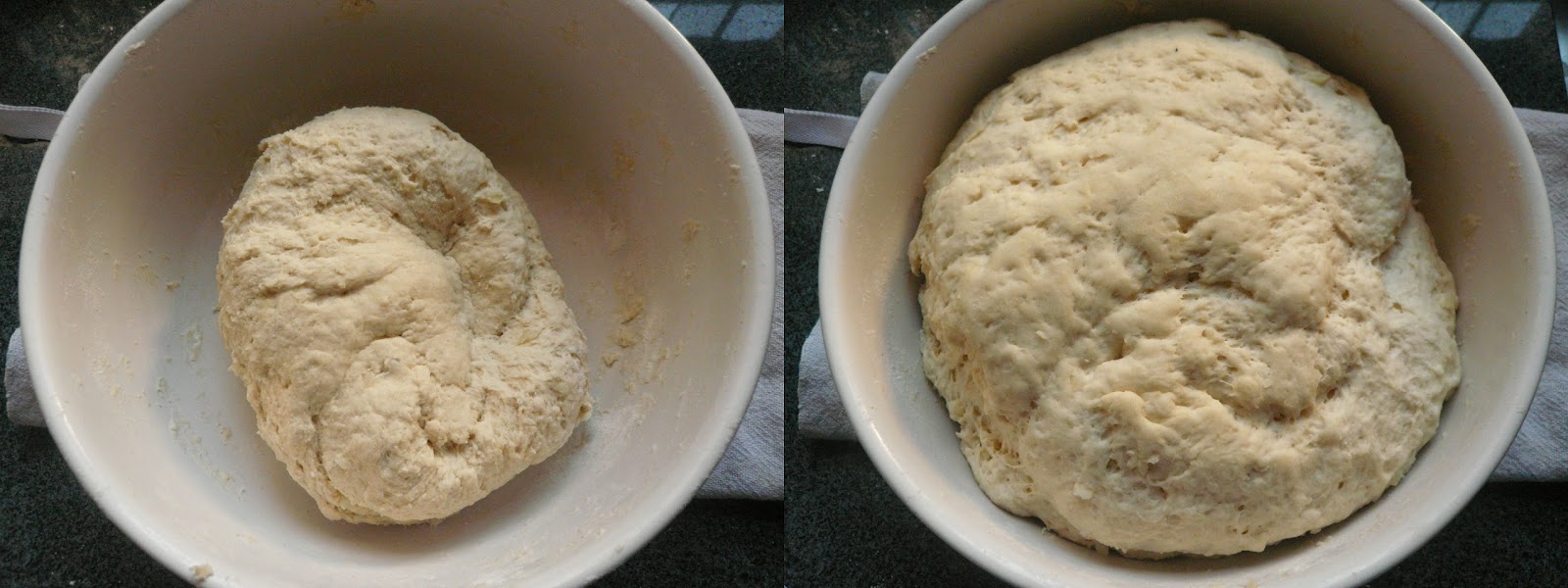 Safra de bri: DICCIONARIO GASTRONOMICO-L