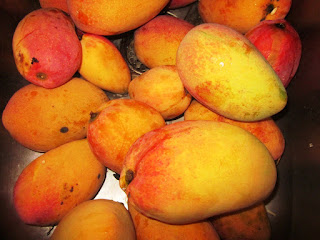 Robert's Tropical Paradise Garden