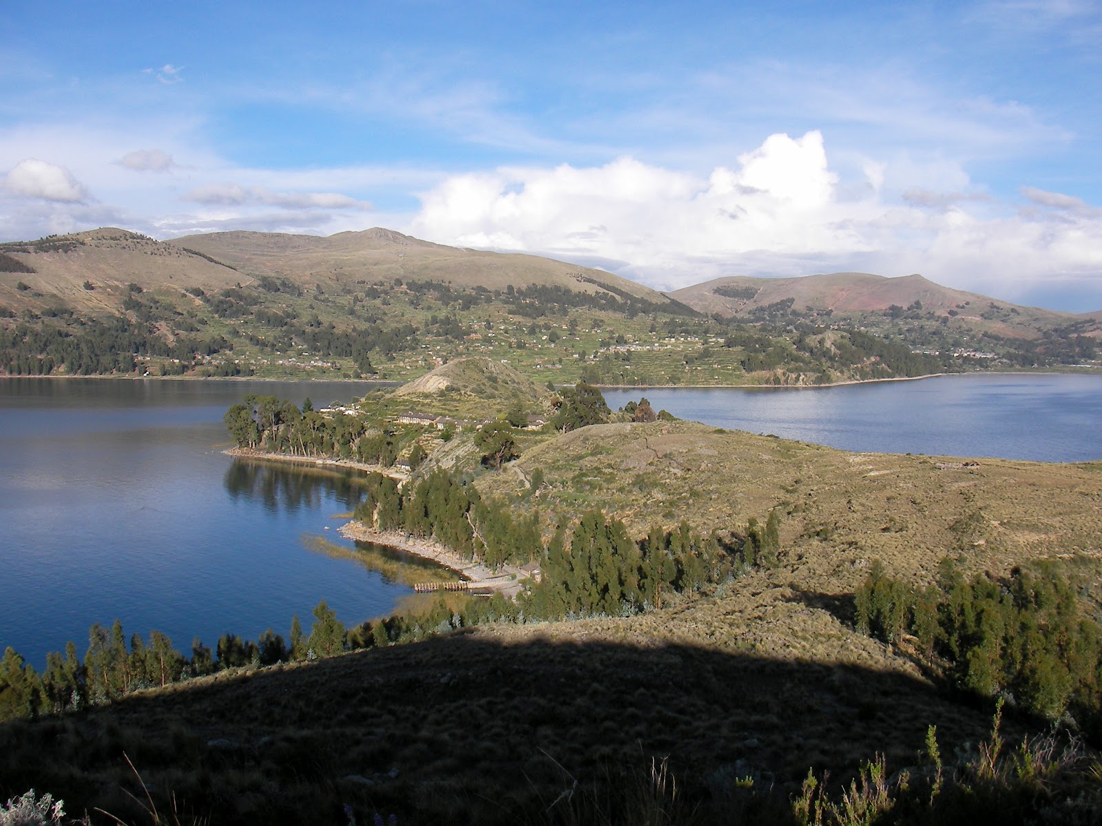 CONIMA PUNO: IMAGENES