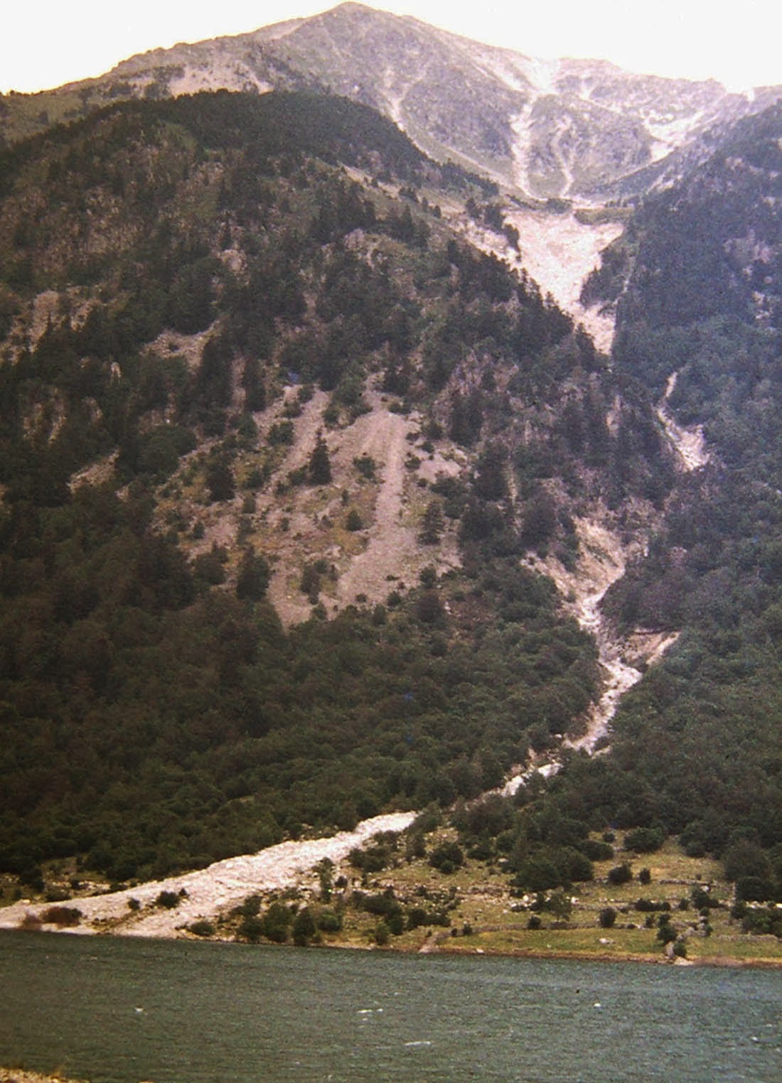 CURIOSIDADES CIENTÍFICAS : Torrentes