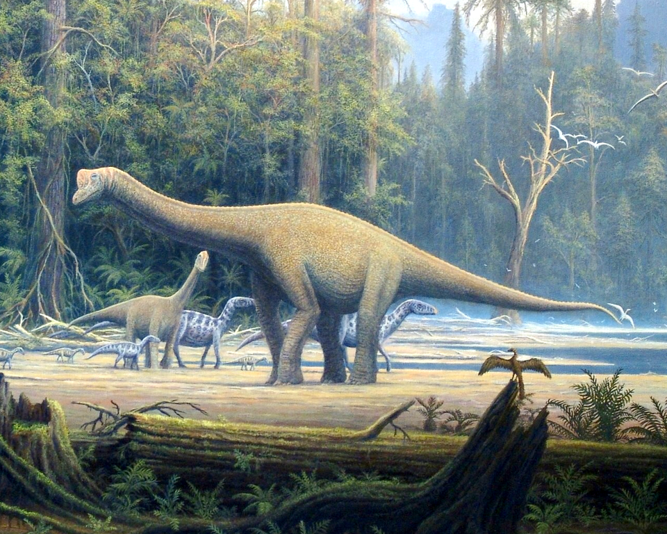 Species New to Science: [Paleontology • 2006] Europasaurus holgeri ...