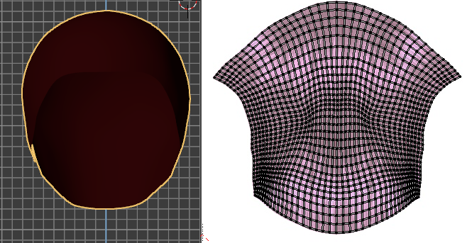 Diffeomorphic: Hair Section