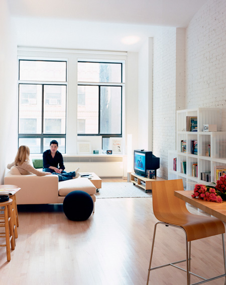 The Incredible Stuffs: Awesome apartment with limited space in New York
