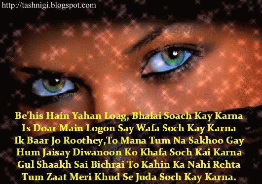 TASHNIGI: Picture Shair-o-Shairy GIF