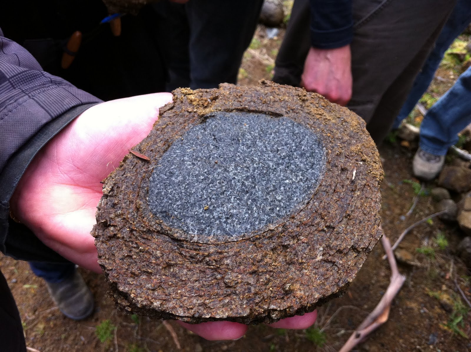 em's horticultural diary: soil excursion - wk 17