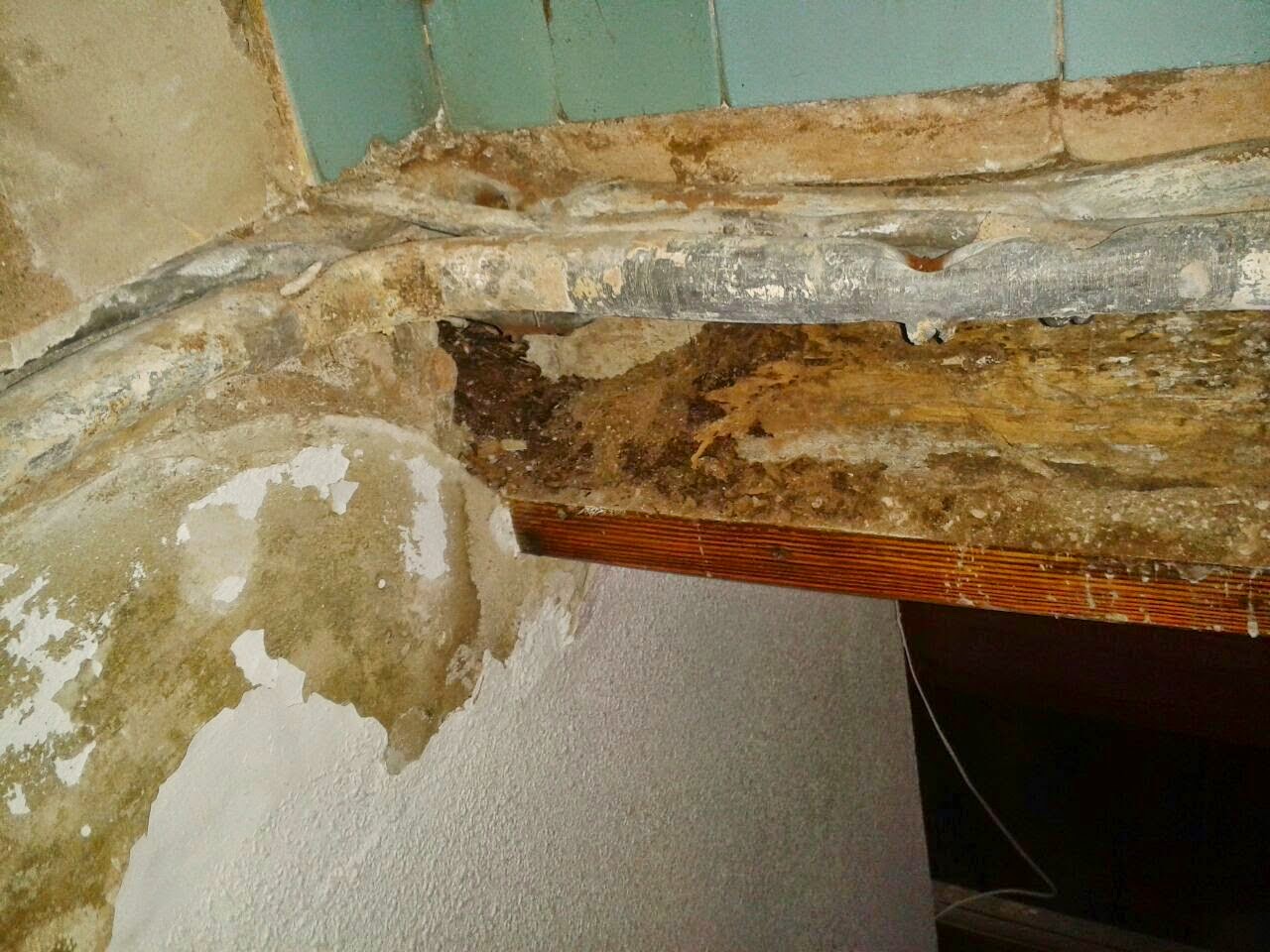 Sustitución de forjado de revoltones SP24 - F*g! arquitecta-Valencia