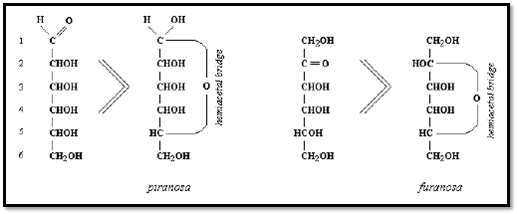 KARBOHIDRAT : PENGERTIAN, FUNGSI, STRUKTUR, KLASIIKASI, STEREOISOMER ...