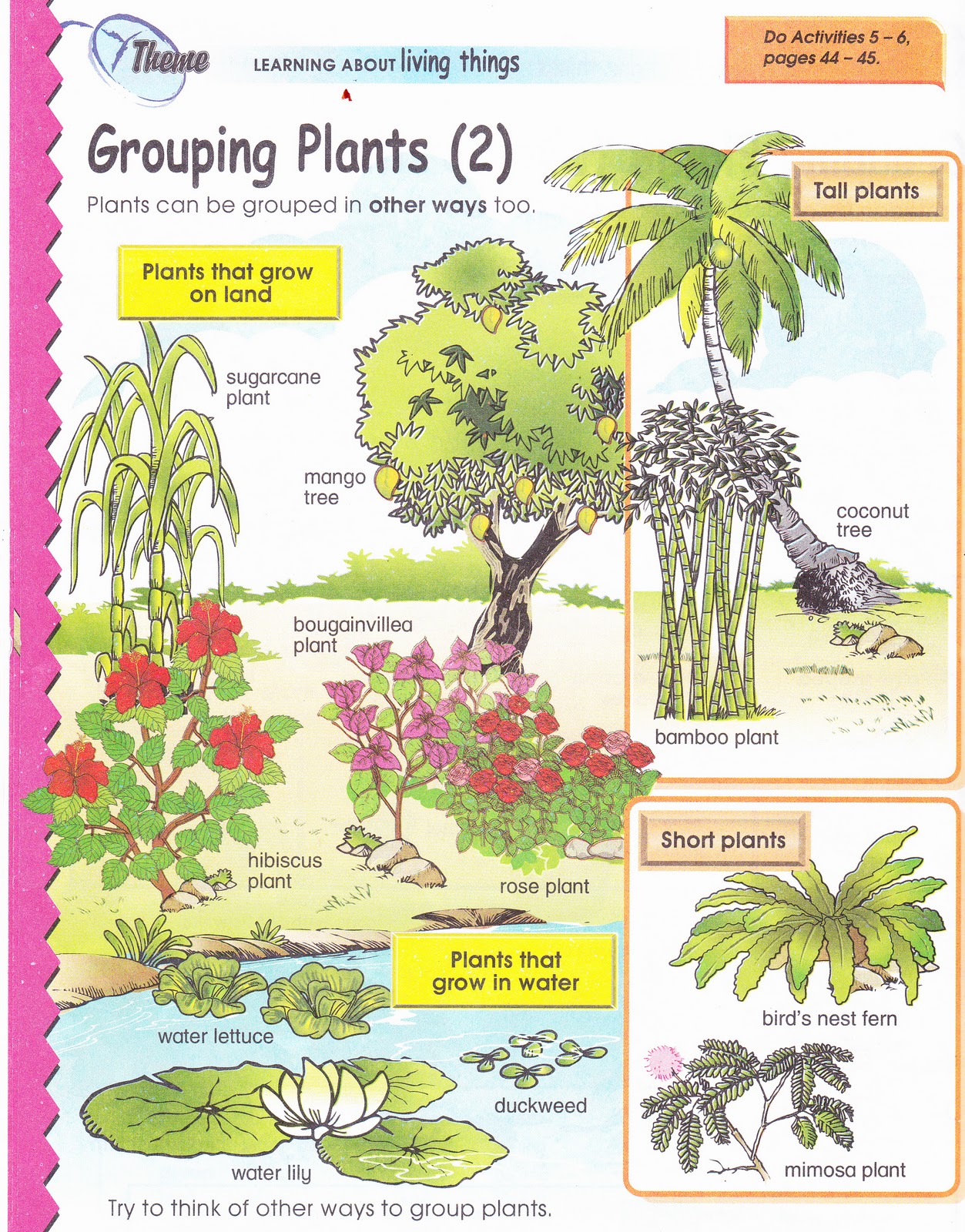 LIM LAI FONG (D20102043844) Science Year 3: Unit 2 : External Features ...