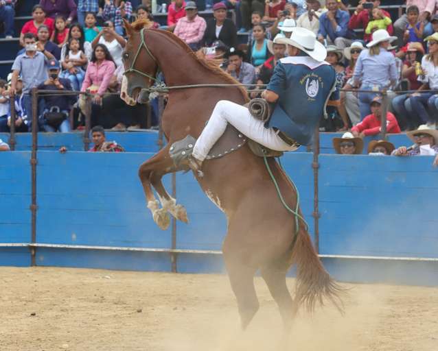 EL RODEO MONTUBIO AVIVA LAS TRADICIONES ANCESTRALES - INFORMATE PUEBLO
