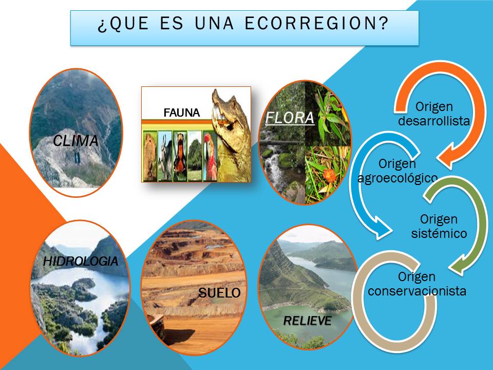 EL ALCANCE DE LAS ECO REGIONES