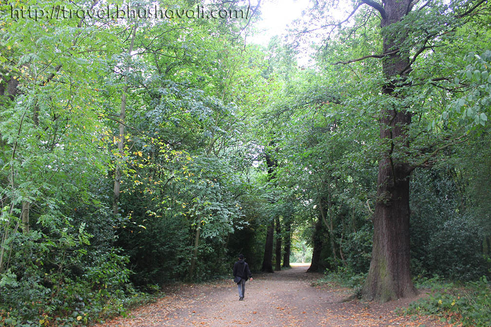 Epping Forest (Greater London - England) | My Travelogue - Indian ...