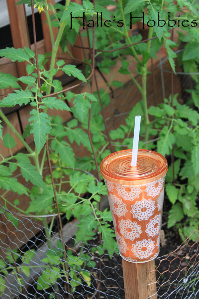 Missing Tea – Halle's Hobbies