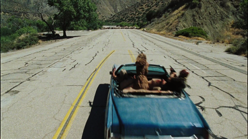 Radiator Heaven: My Best Post Blog-a-Thon: The Devil's Rejects