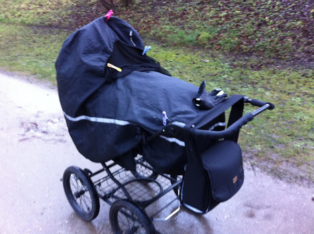 Great Distances: Babies in Denmark