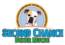 Second Chance Boxer Rescue Florida