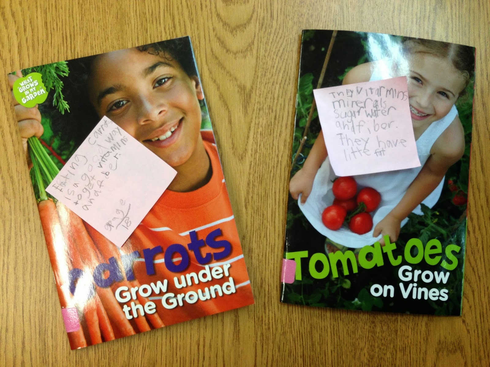 Funky First Grade Fun: Close Reading, Text Based Evidence & Finally a ...