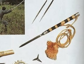 paart budo buki: Te yari