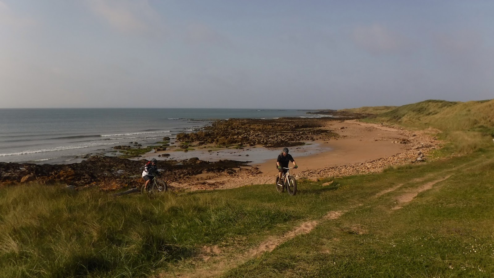 coastrider: Surly Wednesday update...