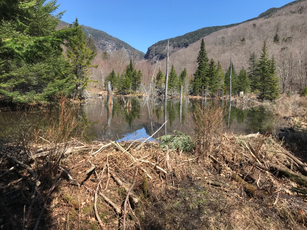 The Switchel Traveler: Mount Mansfield and Barnes Camp
