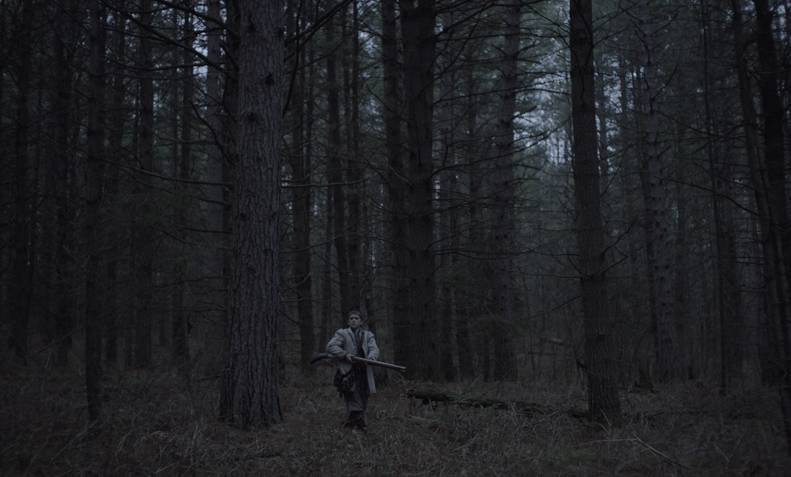 The Vault of Horror: The Witch: Mining the Roots of American Horror for ...