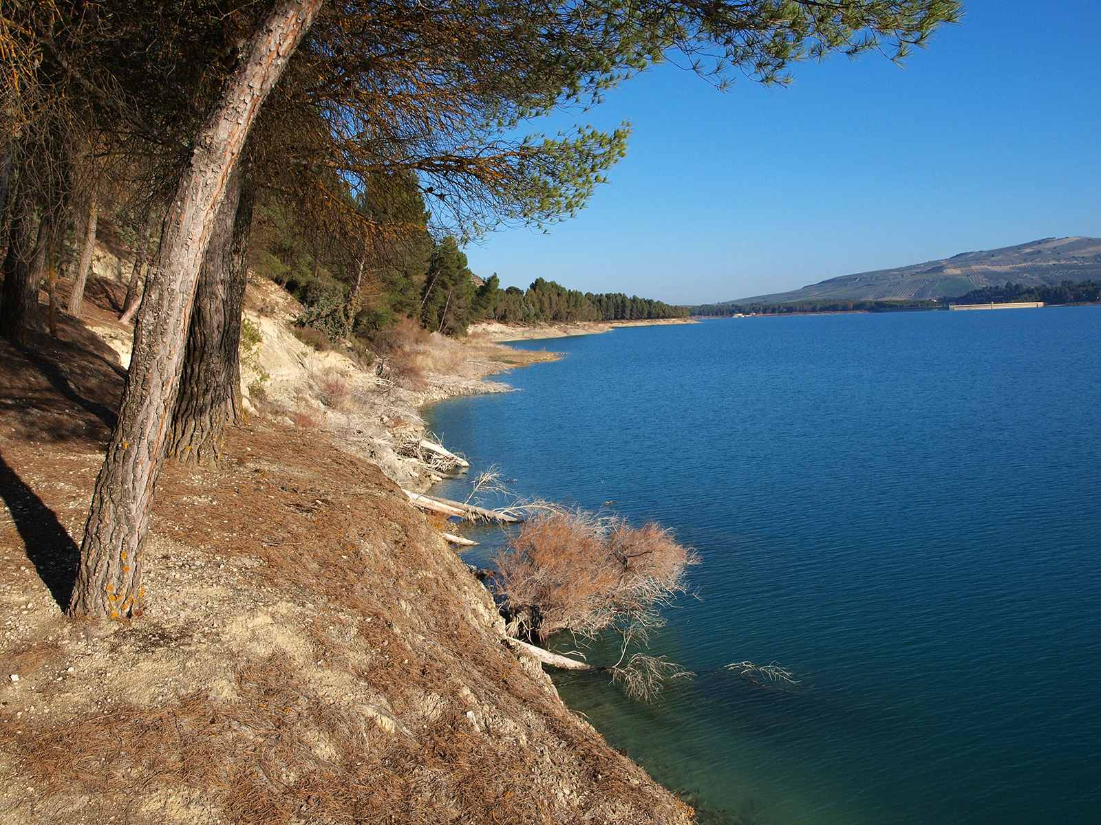 Caminando por Sierras y Calles de Andalucía: Pantano Bermejales ...