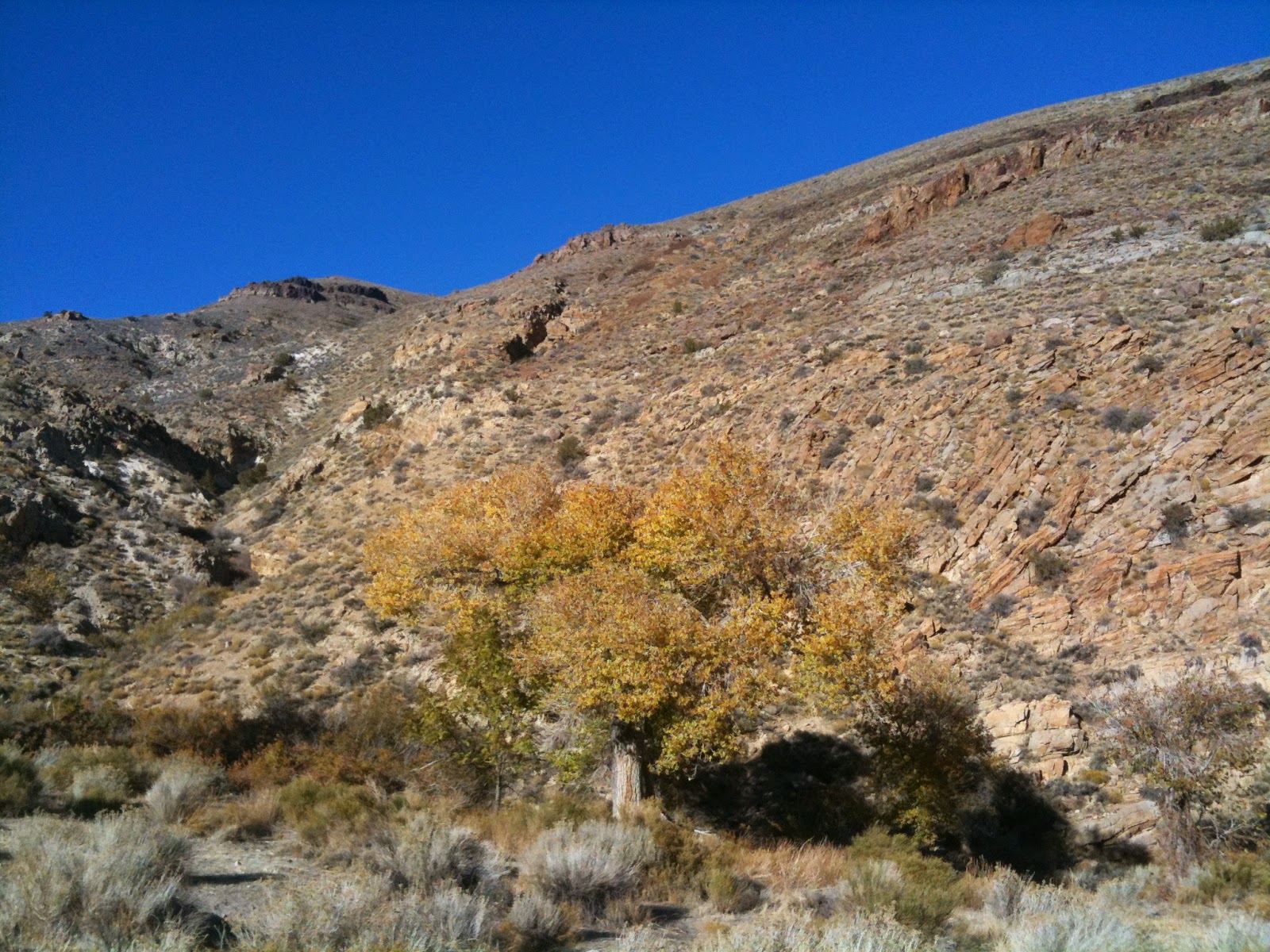 Exploring and Informing: Hungry Bill's Ranch: A Guide