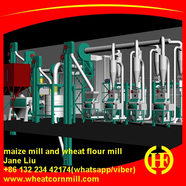 maize mill and wheat flour mill: the importance of cleaning the maize ...