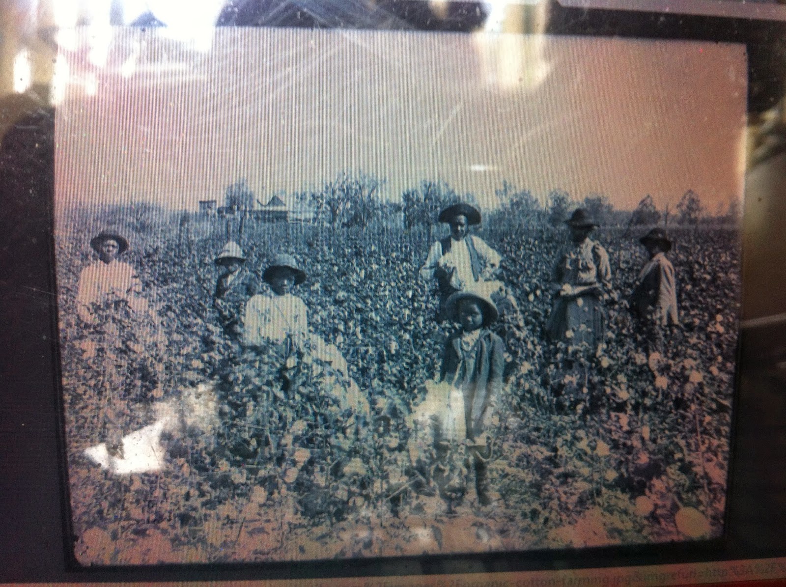 THE BLACK SOCIAL HISTORY:: BLACK SOCIAL HISTORY : FREED UNITED STATES ...