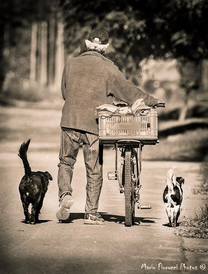 Black and White Academy ★ TOP: Mario Fiorucci