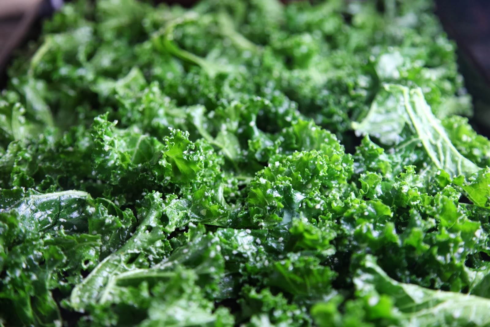 Avocado and Beer: Parmesan two pepper kale chips