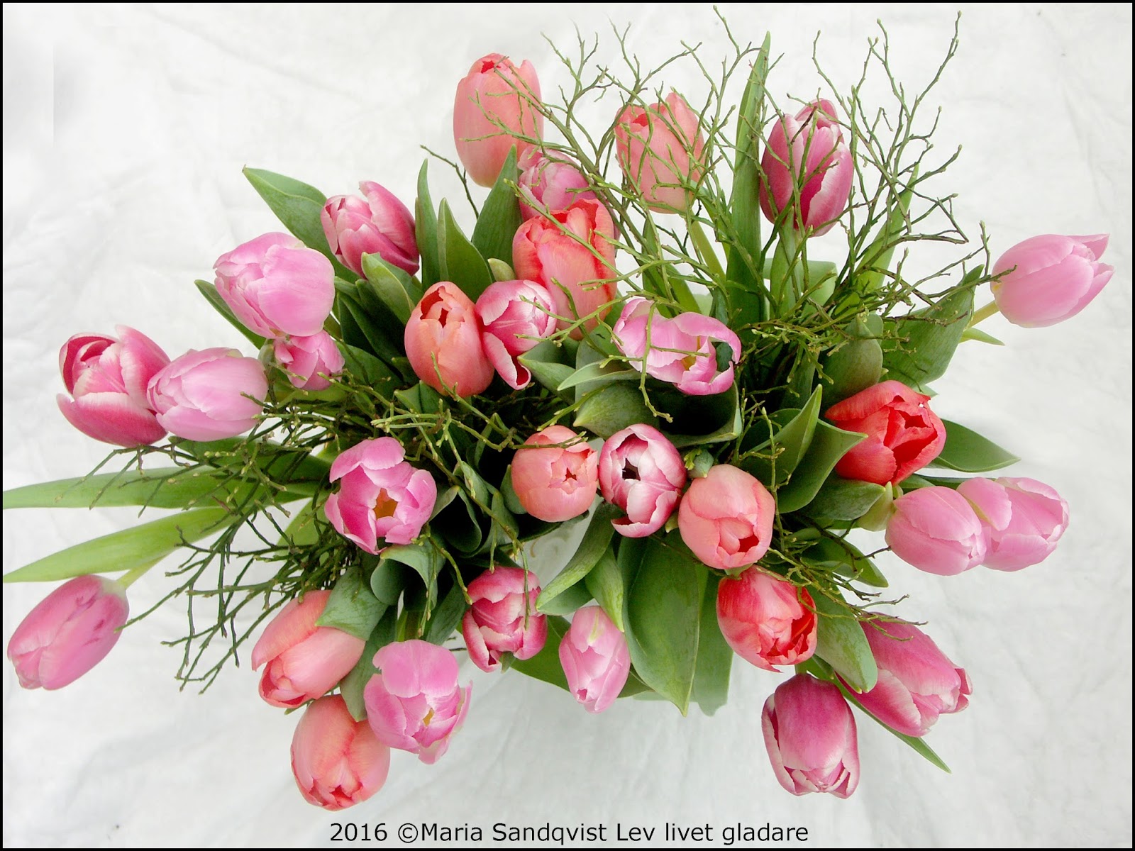 Lev livet gladare: Tulpaner = Vår